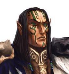 Tyranny of Dragons: The Council of Waterdeep