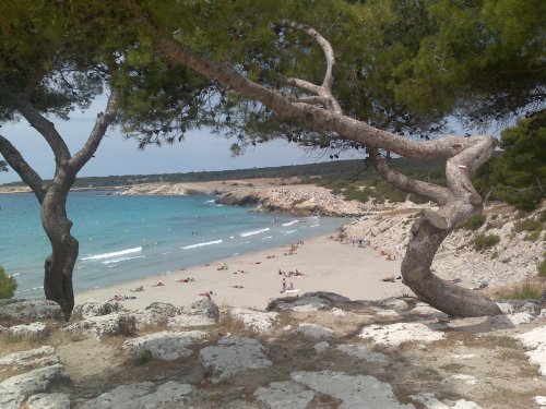 A Taste of Provence: Secret Beaches of the Beautiful Blue Coast