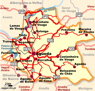 Portugal Gastronómico #101 - Águeda