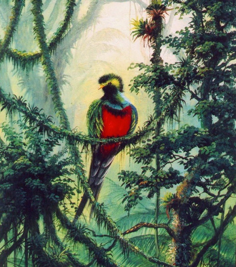 Arte y Actividad Cultural: Paisajes del Amazonas al Óleo