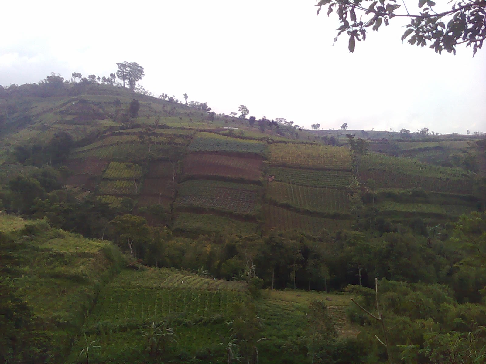 Desa Wisata Samiran: Pos Pengamatan Uga - Desa Samiran, Boyolali