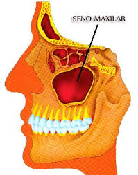 Cirujano Oral, Estética y Armonización