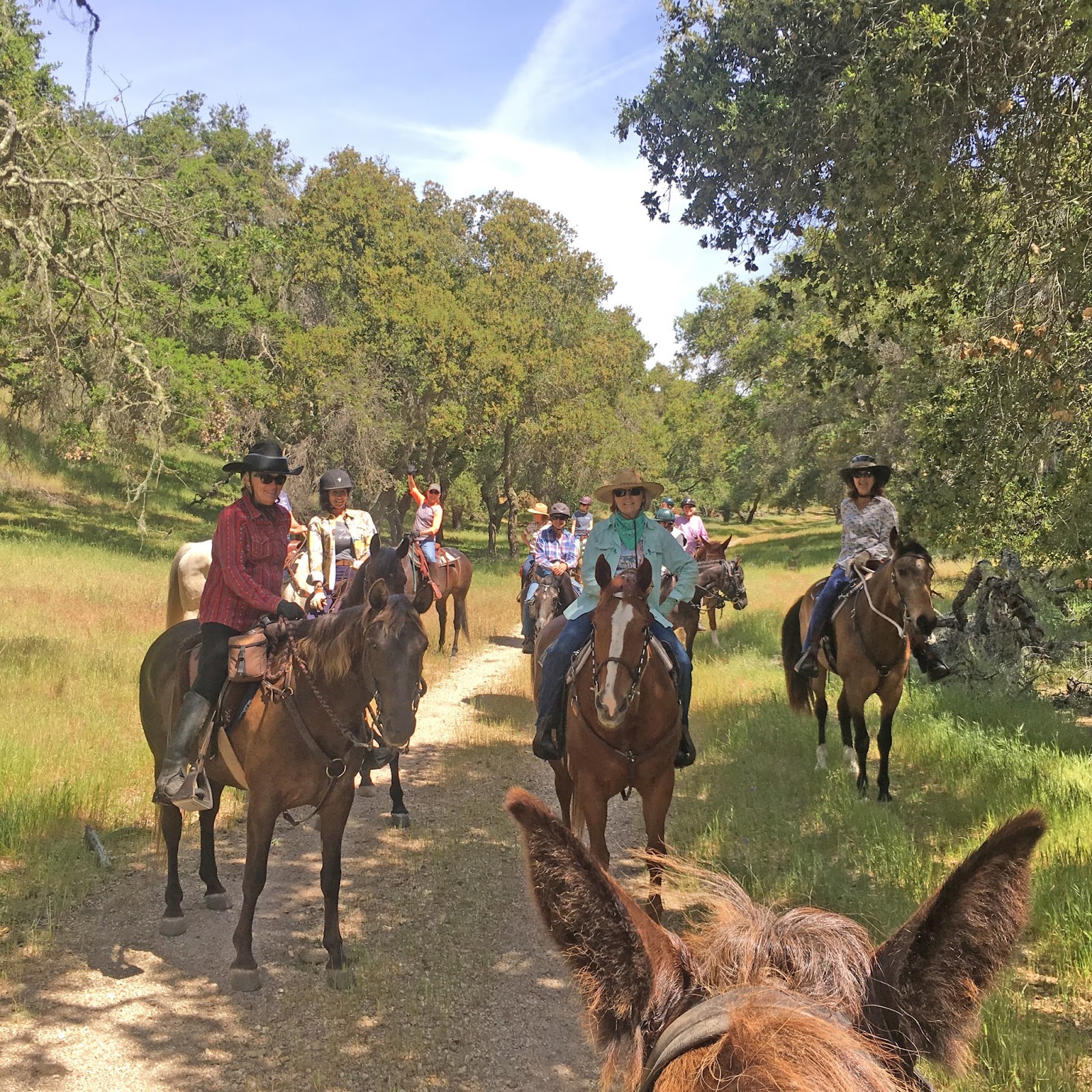 Mule Riding on Chamberlin Ranch - edhat