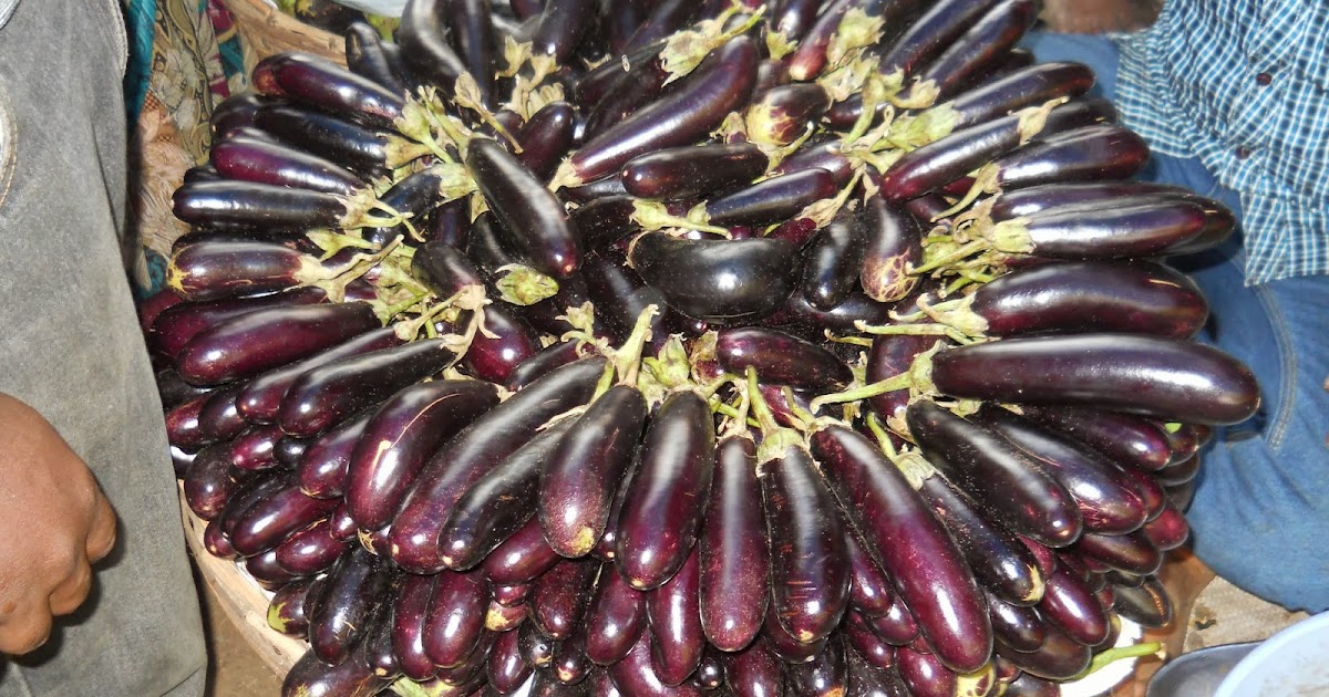 Brinjal | Aadhya - Empowering Women