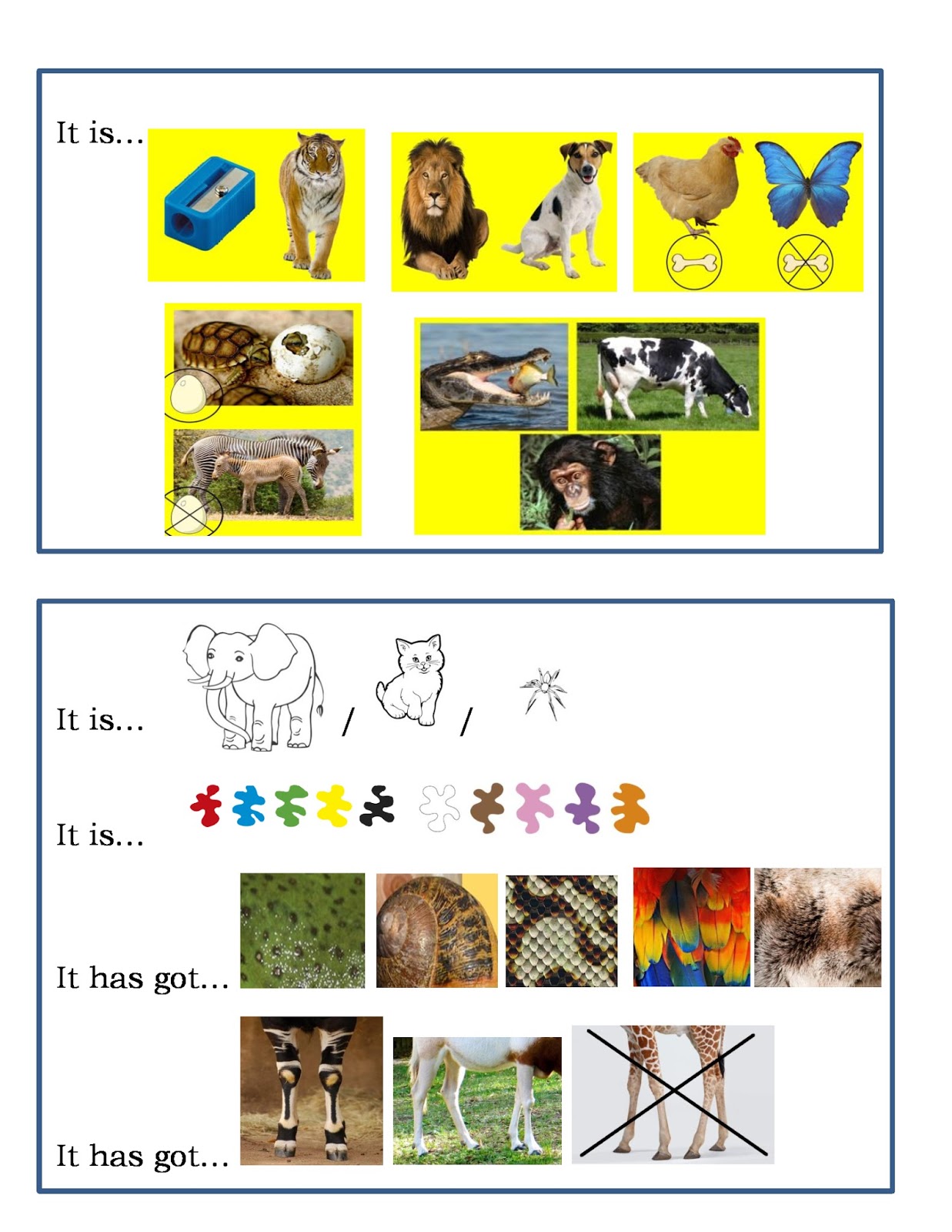 First Grade Doña Leonor del Álamo