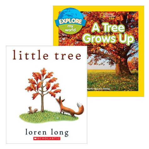 Reading and Writing Strategies: A Mentor Text Lesson for Fall | Thyme ...