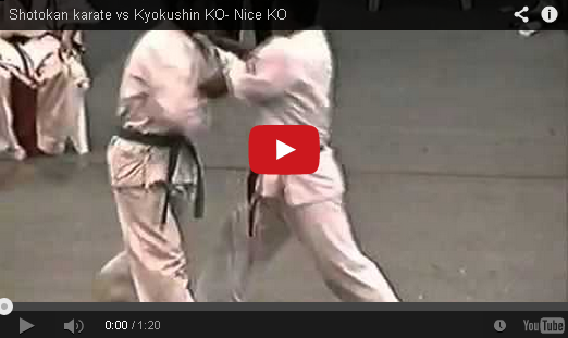 Shotokan karate vs Kyokushin KO- Nice KO - Mixed Martial Arts