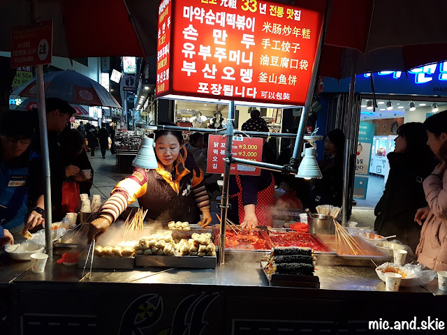 Korea Winter Itinerary 2016 / 2017 Day 7 | MicAndSkie