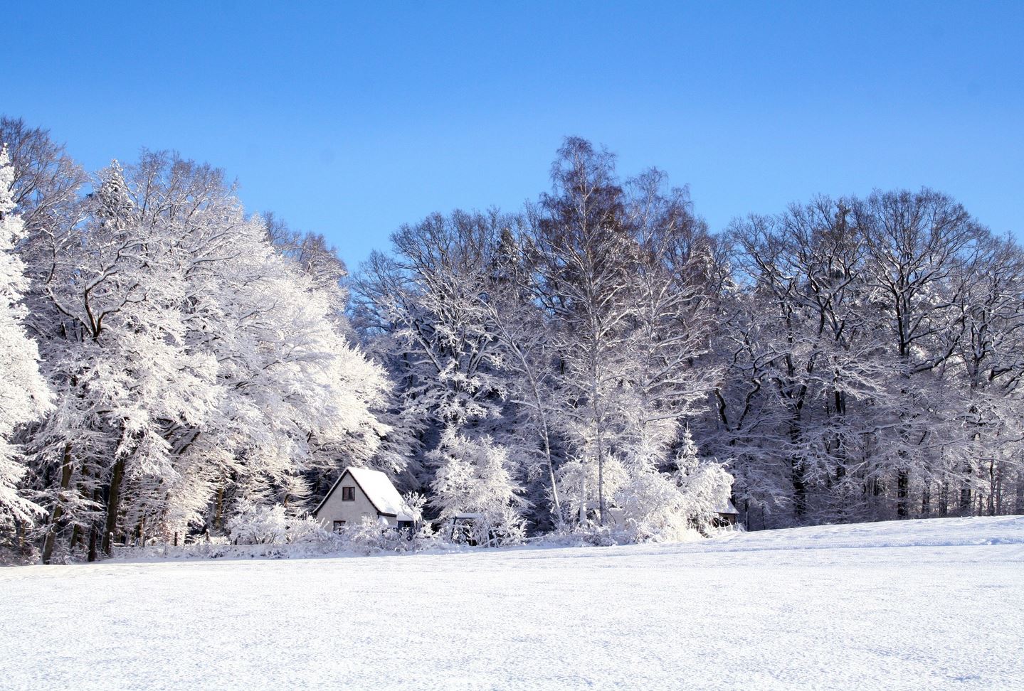 Ilmaisia kuvituskuvia: Talvimaisema
