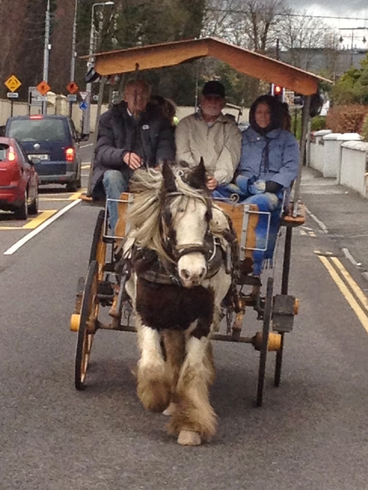 Ireland April 2014: Jaunting Carts