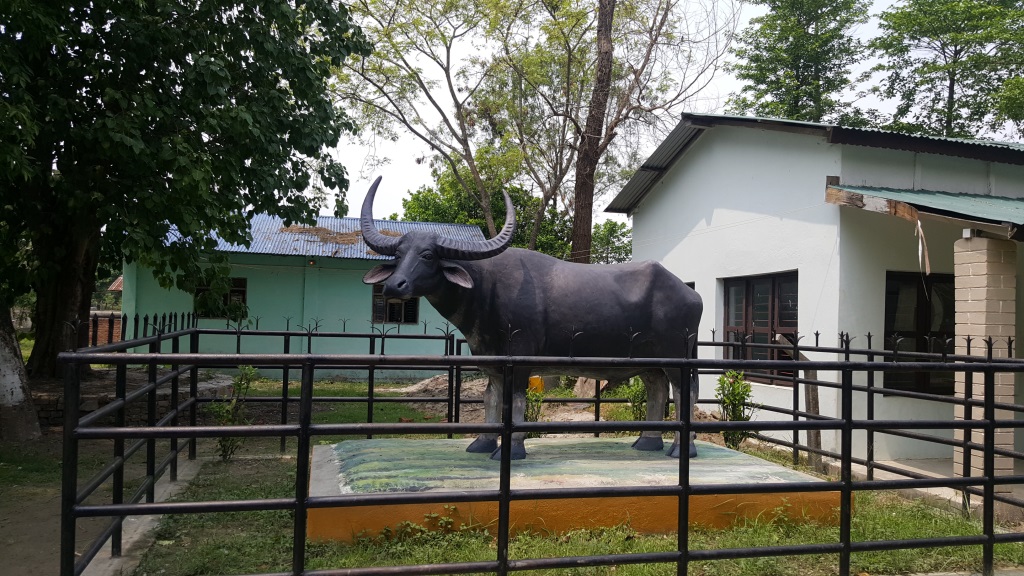 Yetaa Utaa: Beyond bird-watching in Koshi Tappu