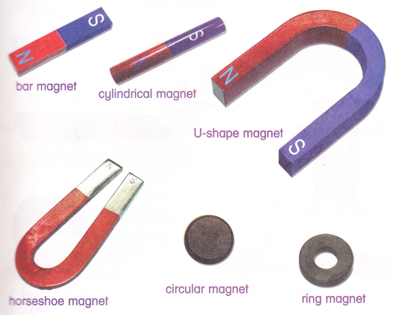 Science Magnet Shapes Of Magnets Science Magnet Shapes Of Magnets