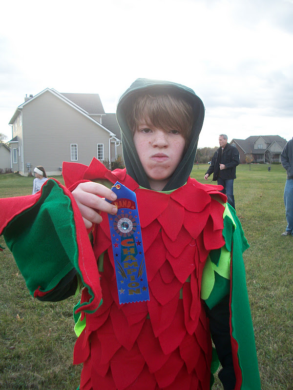 Pams Party & Practical Tips: Flying Chameleon Costume