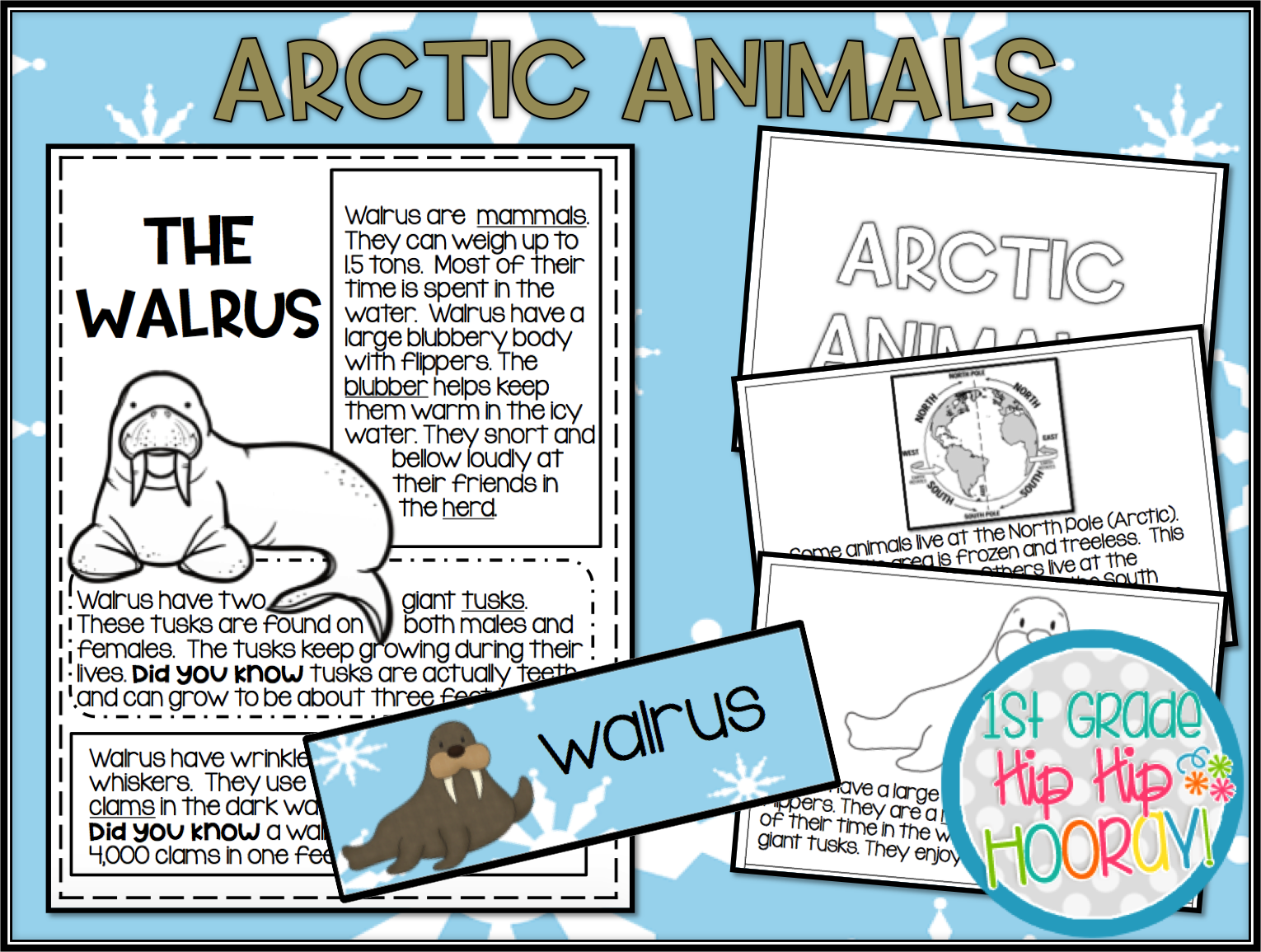 1st Grade Hip Hip Hooray!: Polar and Arctic Animals!