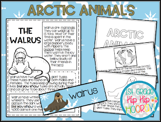 1st Grade Hip Hip Hooray!: Polar and Arctic Animals!