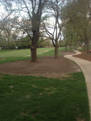 Milburn CC Turf Maintenance Blog