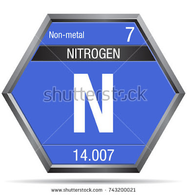 Heraldry of Life: 7.NITROGEN - ART with N-chemical element symbols