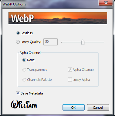 Adobe Photoshop plugins for WebP