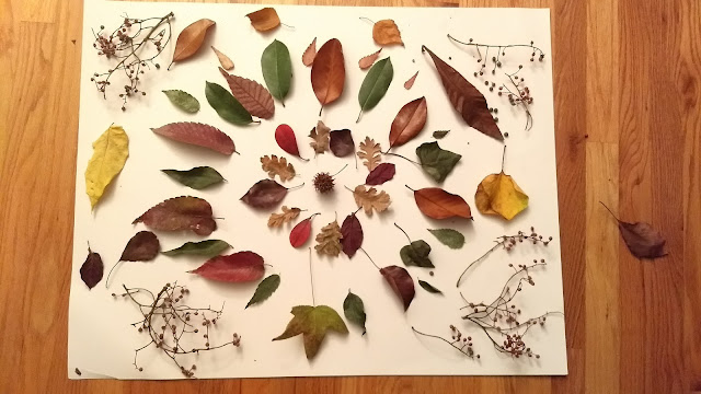 9 Ways to Help Your Child Connect with Nature (no matter where you live ...