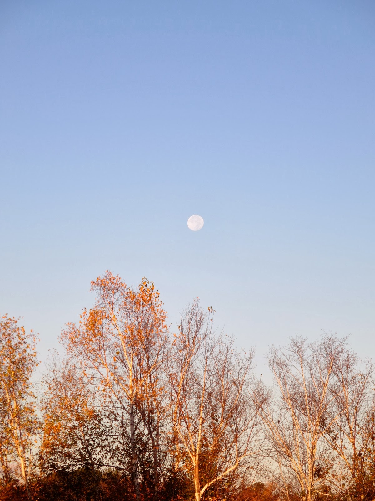 OddBike: OddBike USA Tour: Part XIII - Home