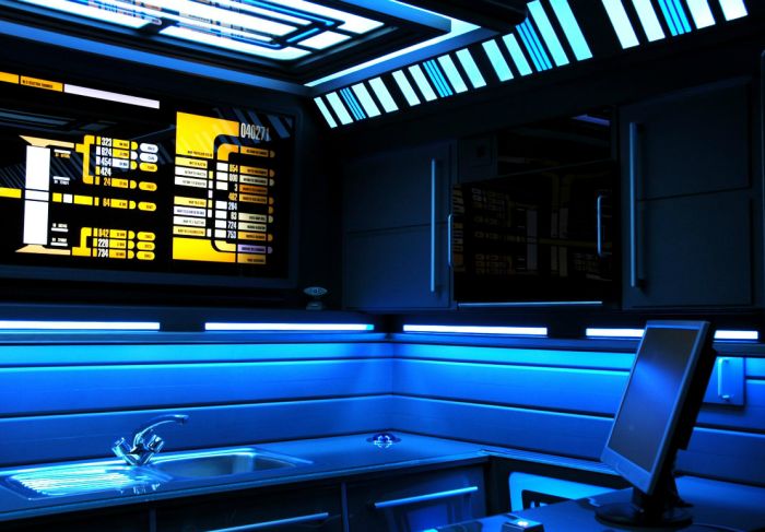 Interesting Stuff from All Over The World: Star Trek Big Fan's Apartment