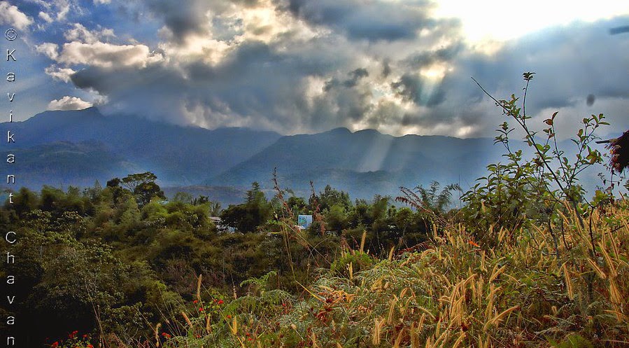 Weekend Zone and Getaways: Birding at Wayanad