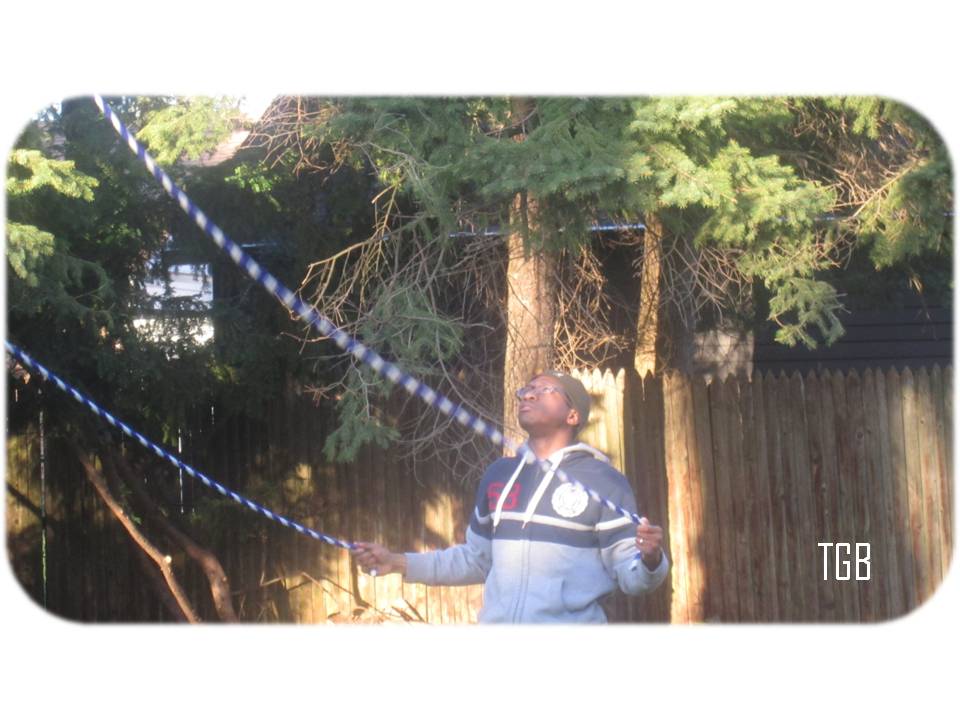 TheGoozBeezClick: 13 Fun, Easy Steps on Hanging a Vertical Tire Swing