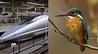 biomimetics: WIND, FLIGHT, AERODYNAMICS