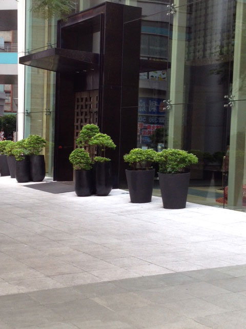 【EXPANSYS SIMフリー情報局】第42回：EXPANSYS JapanのEmi、日本から香港へ。初めての海外生活 パート2 | GAPSIS