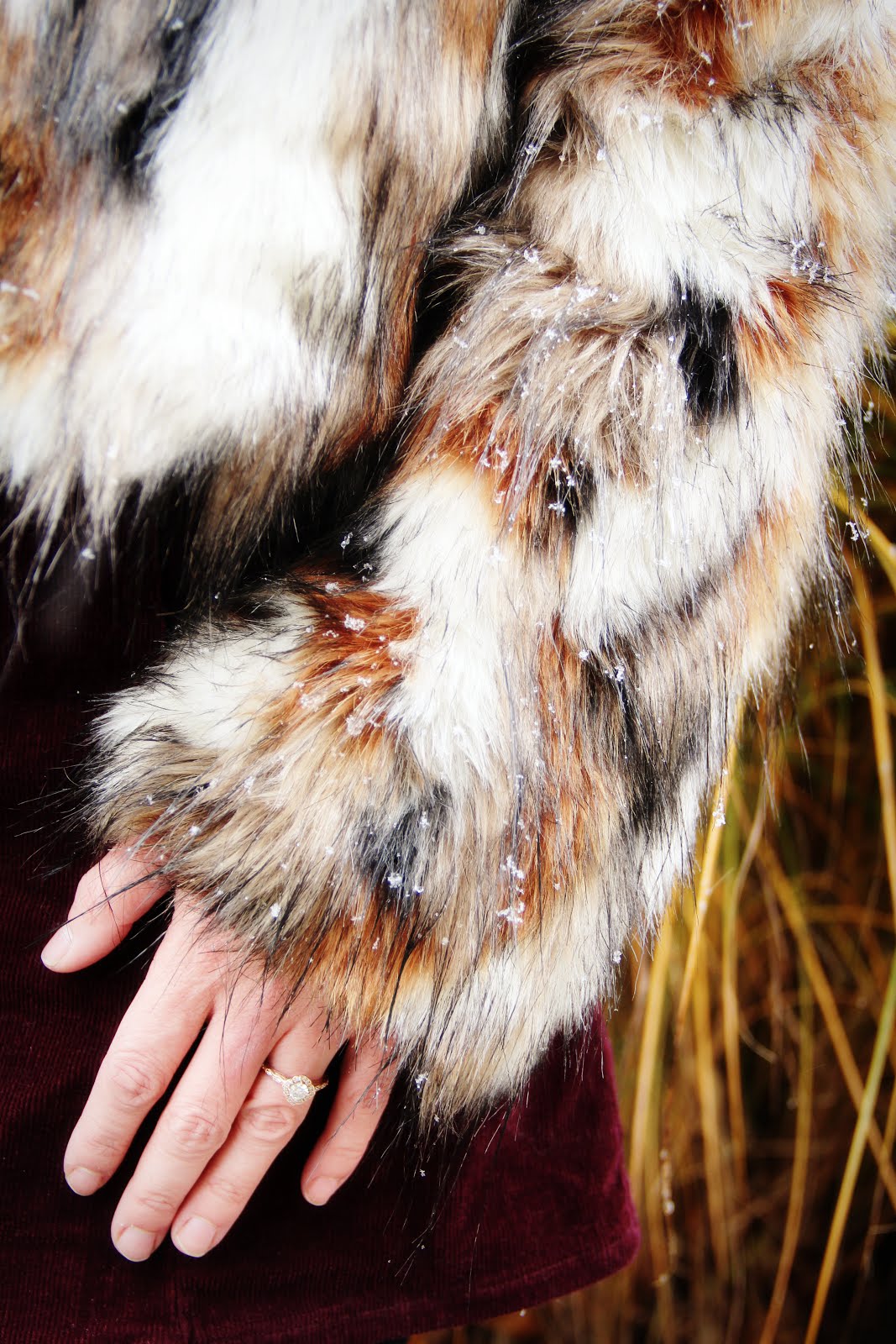 The Lovely Red Fox: Early Flakes