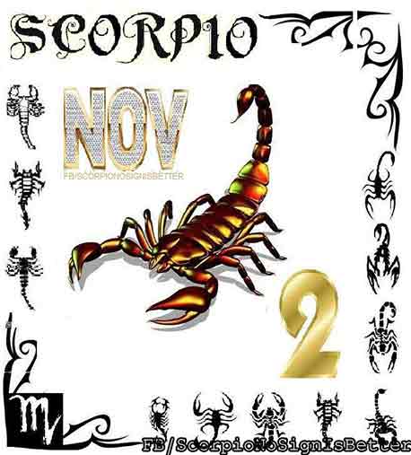 Scorpio Born on November 2
