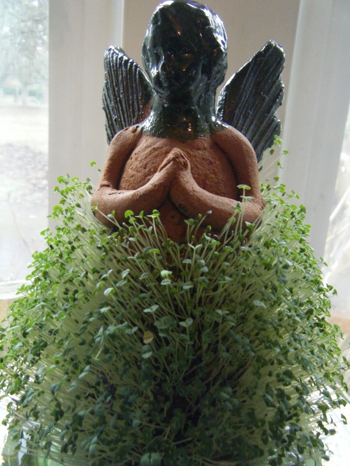 Jewel Box: Introducing the Chia Angel