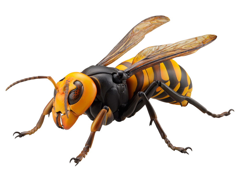 Super Punch: Deluxe articulated Murder Hornet toy available for ...