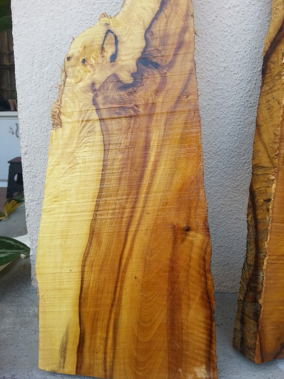 Kayu Warisan Malaysia: Kayu kemuning emas untuk dijual