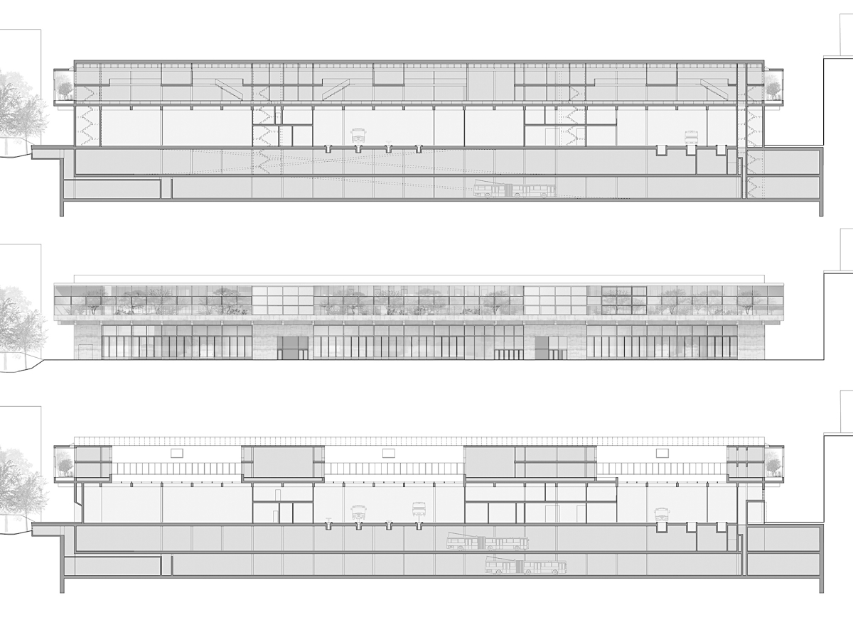 em2n – a f a s i a