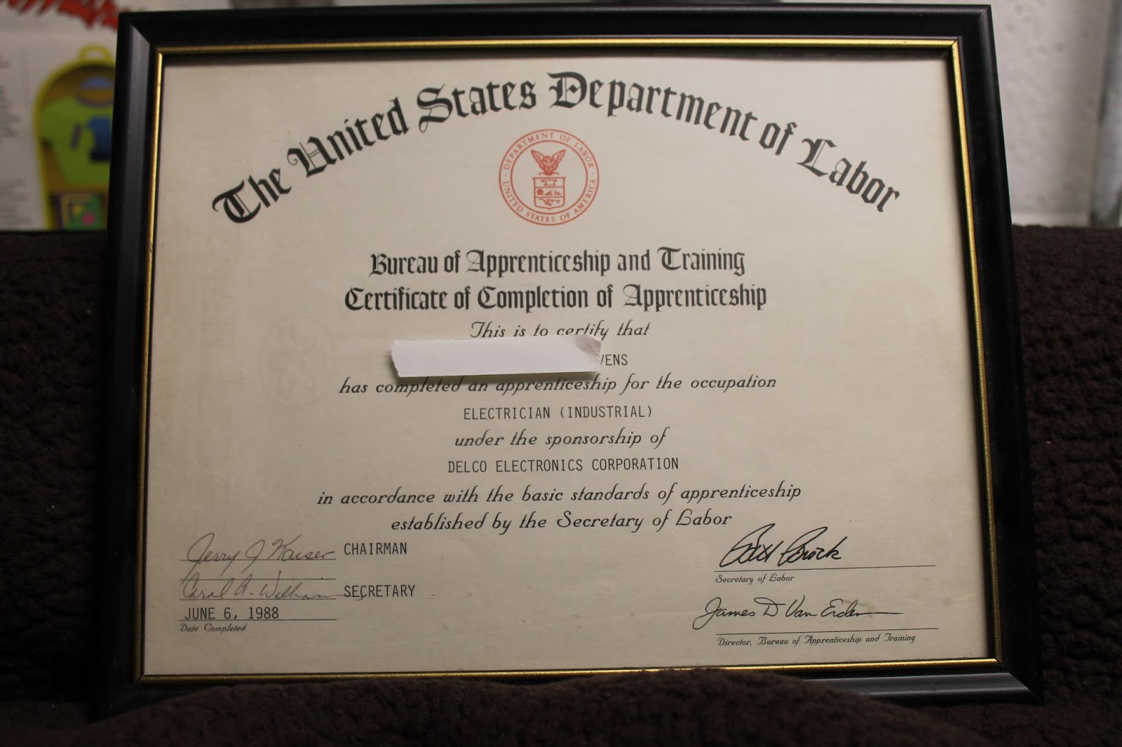 SheJunks: My Career, Celebrating Labor Day.....