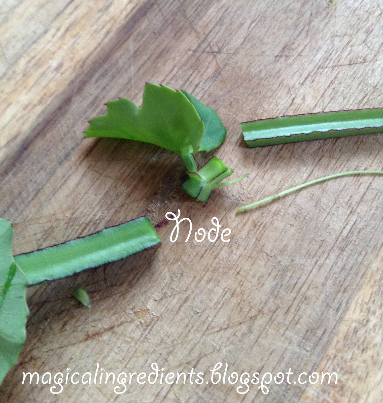 Pirandai Thogayal - Magical Ingredients