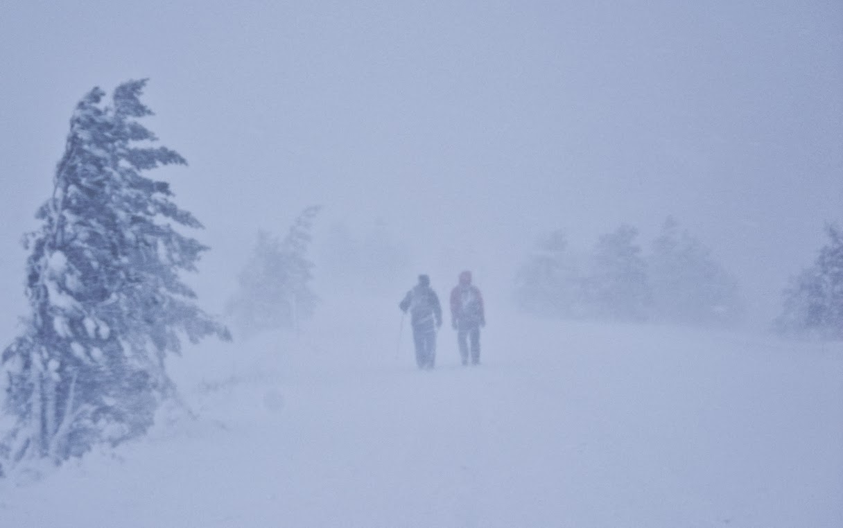SAIS Northern Cairngorms: A morning of blizzards