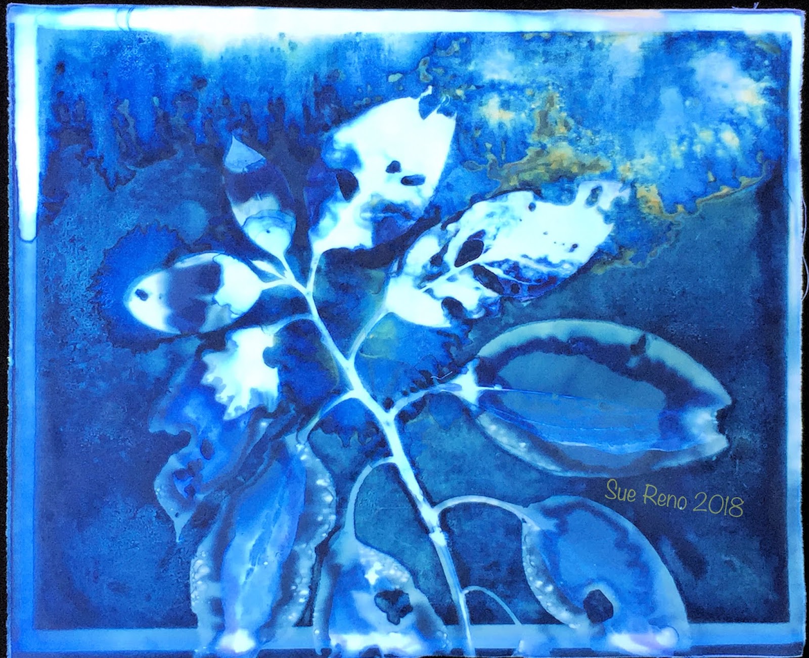 Sue Reno Studio: Experiments in wet cyanotype - part 25