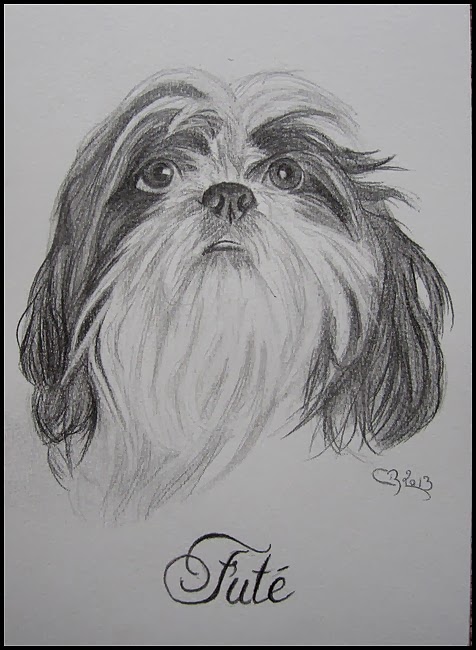 Le blog animalier : Portraits d'animaux