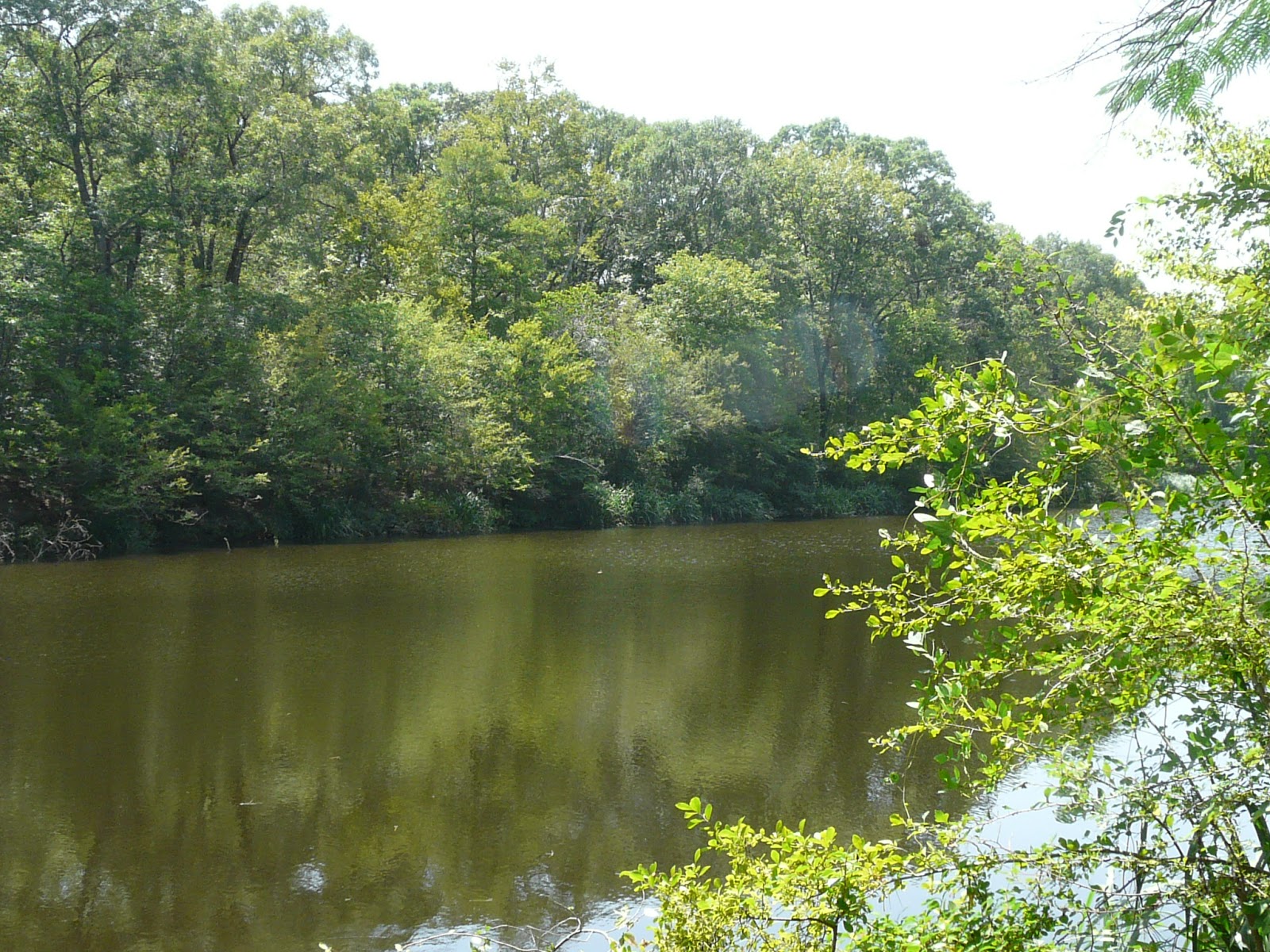 Archiving throughout Arizona, New Mexico, Oklahoma, and Texas: Little ...