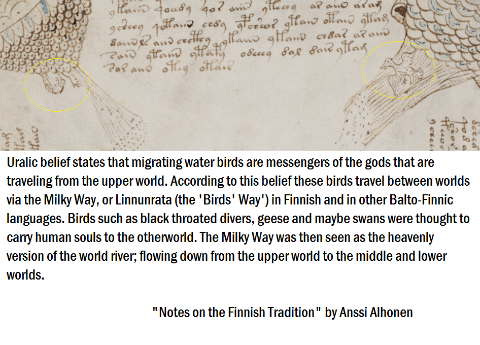 Unlocking the Voynich Manuscript: Voynich Rosette Map Records An ...