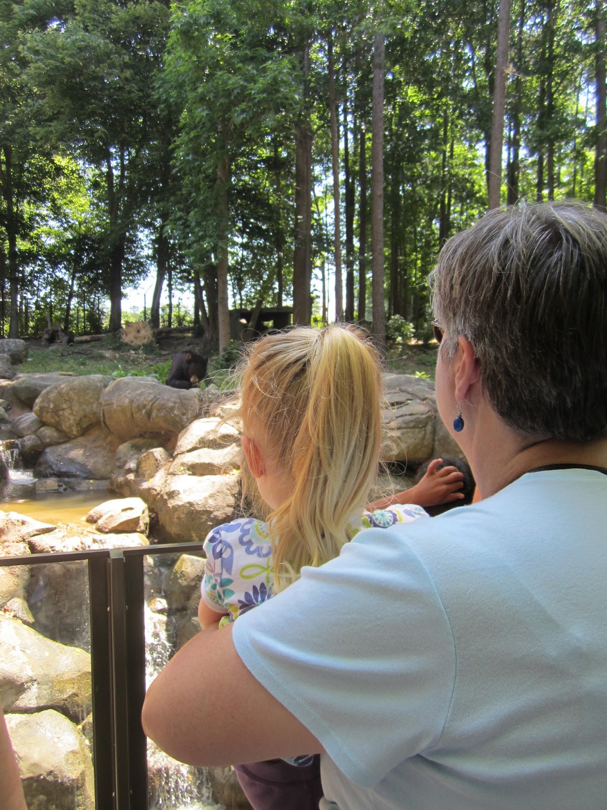 The Cox Family Tree is Growing!: The Zoo!