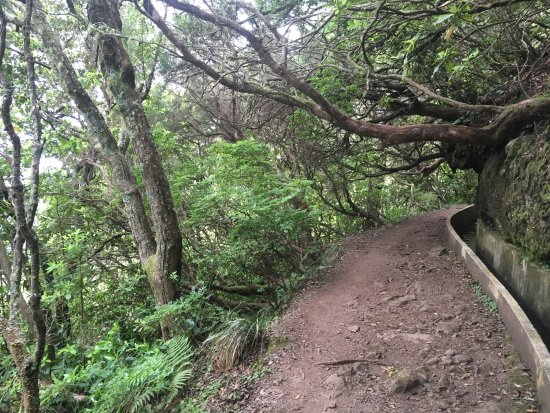 levada do furado PR10 - Madeira Turismo - Tourist Guide to the Island ...