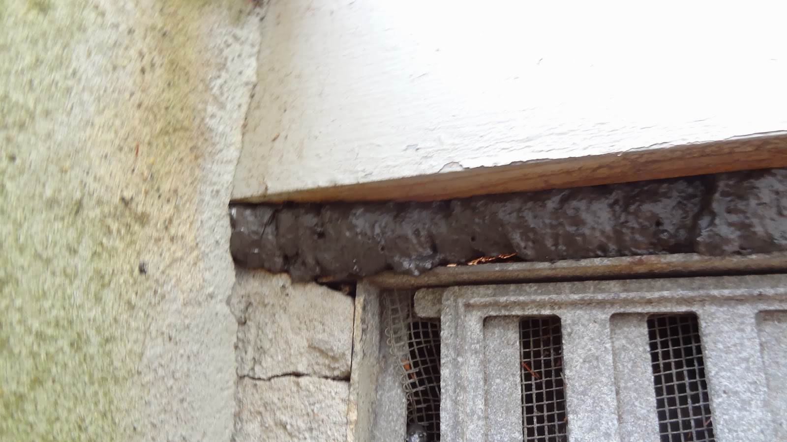 Rodent Exclusion and Rodent Rub Marks - GreenHow Pest and Termite ...