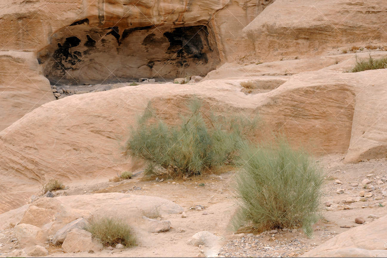 INNSpub | Blog site - Research Journal Publisher