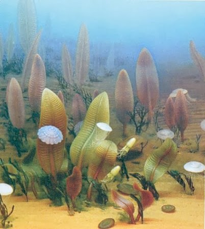 The Dragon's Tales: Ediacaran Neoproterozoic Rangeomorphs Grew in a ...