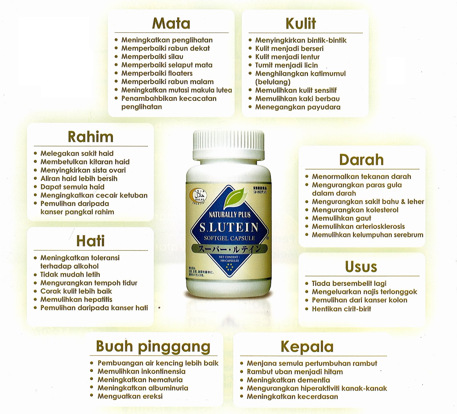 Super Lutena & Izumio