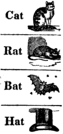 Til Death Do Us Party: Cats, Rats, Bats, Hats!