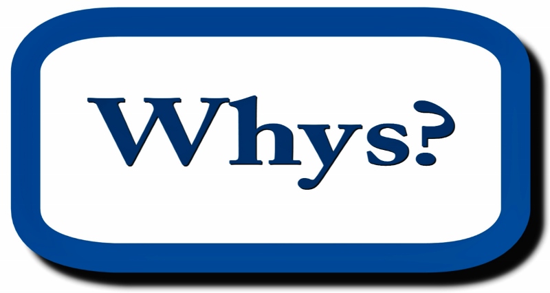 Ramblings...Essays and Such...: Whys?